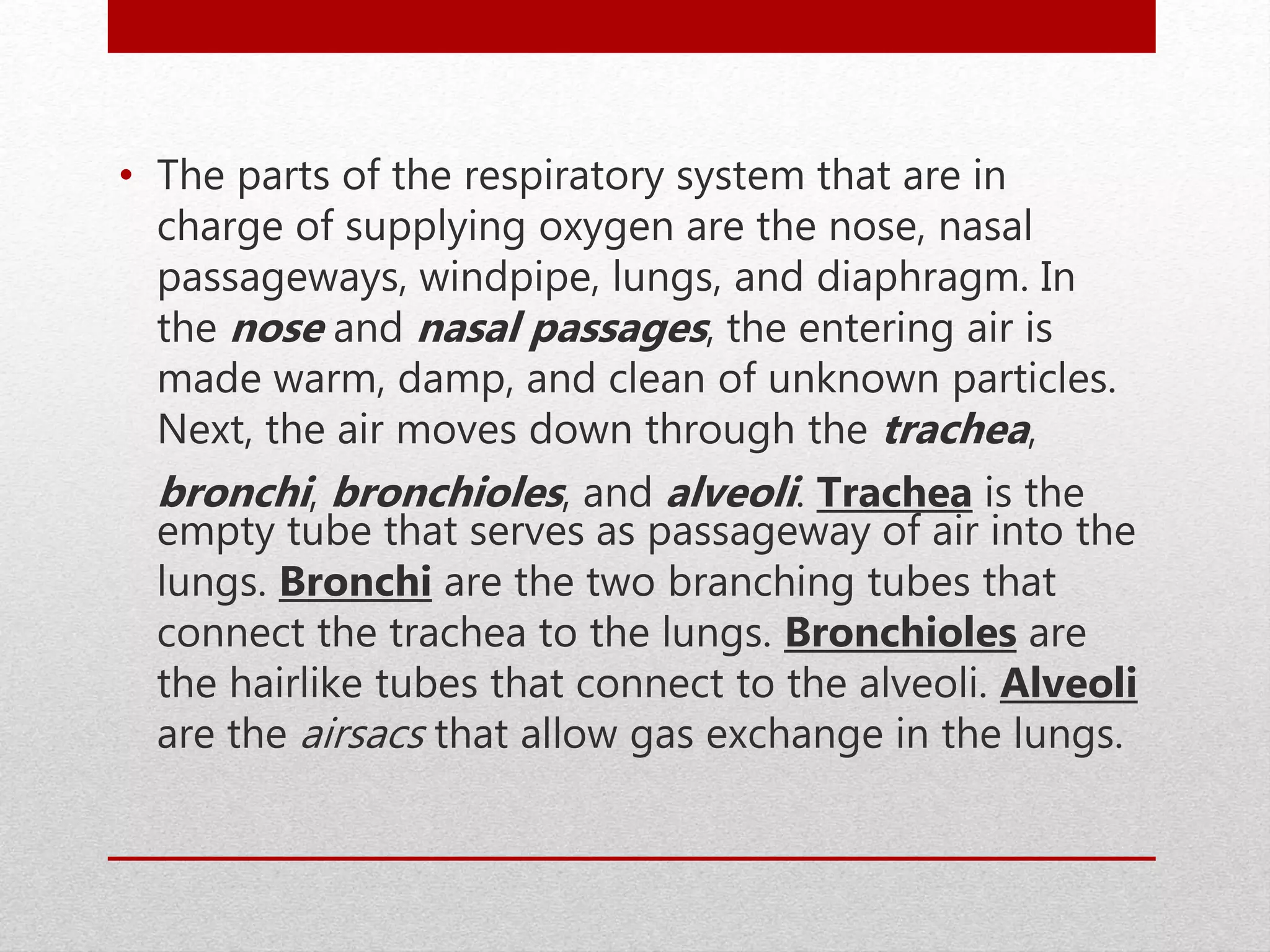 Respiratory & Circulatory System.pptx | Heart and Cardiovascular ...