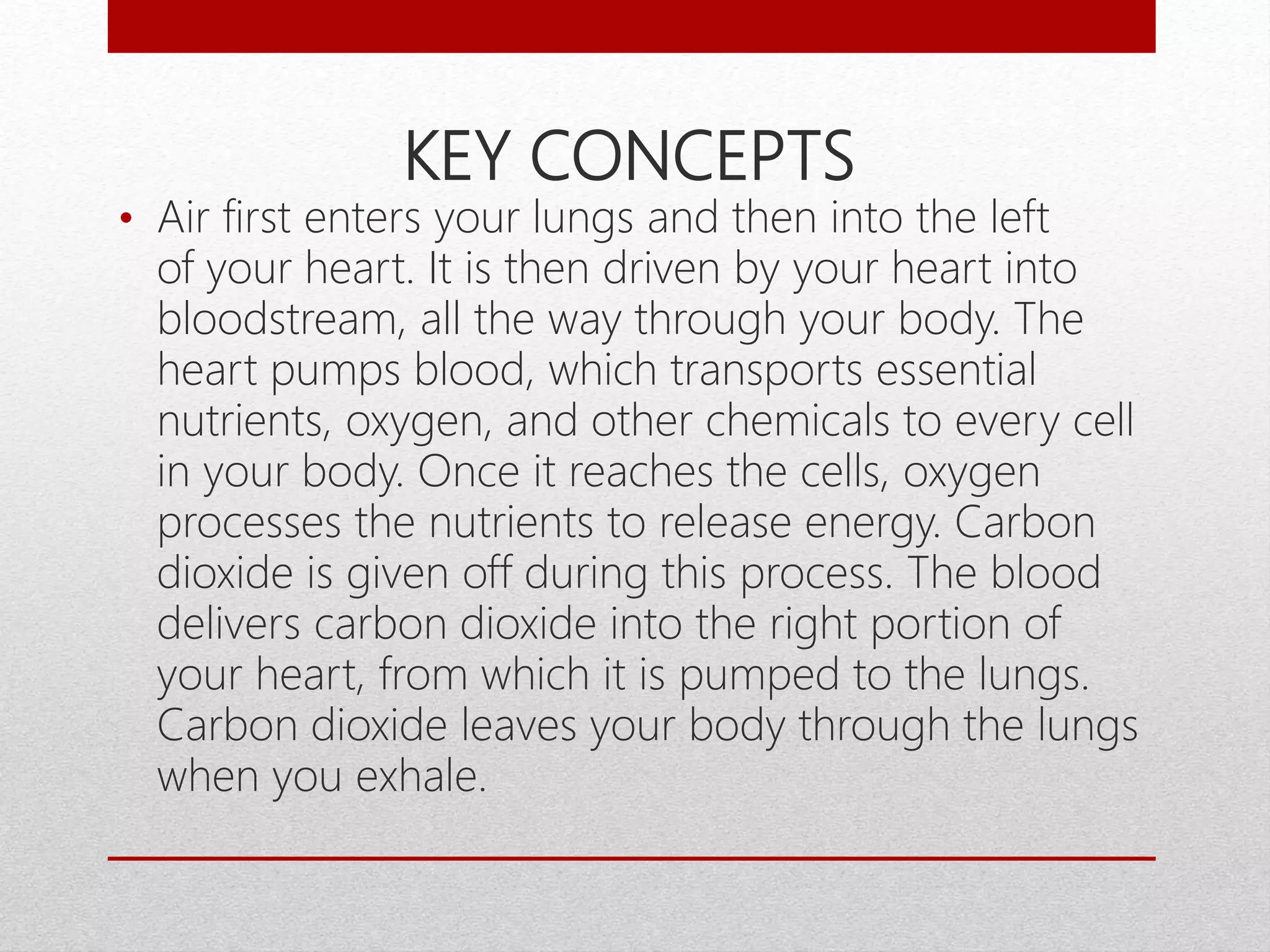Respiratory & Circulatory System.pptx | Heart and Cardiovascular ...