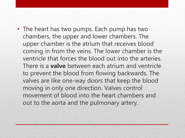 Respiratory & Circulatory System.pptx