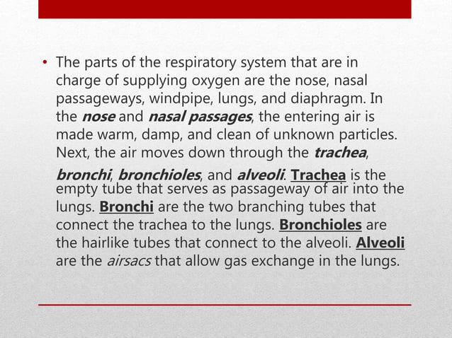 Respiratory & Circulatory System.pptx