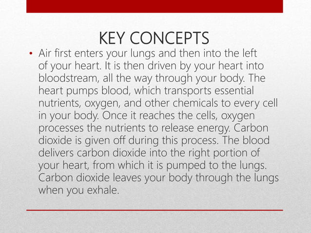 Respiratory & Circulatory System.pptx