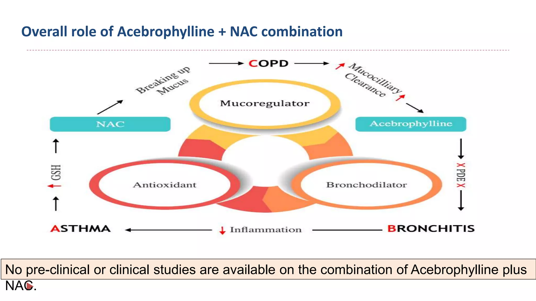 Respiratory conditions- Role of Acebrophylline plus N-Acetylcysteine 17t....pptx