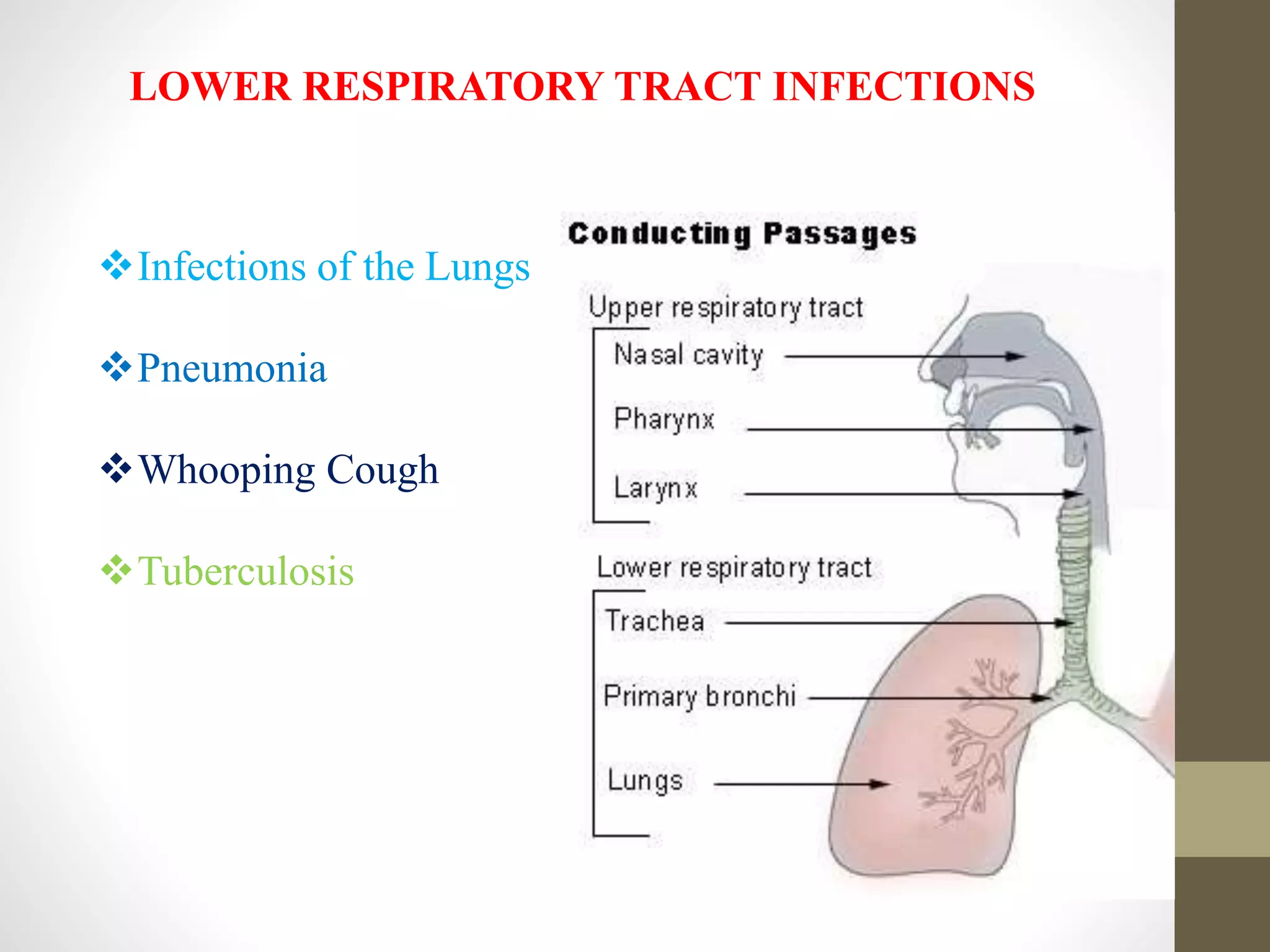 Respiratory disease | PPTX | Lung and Respiratory Health | Diseases and ...