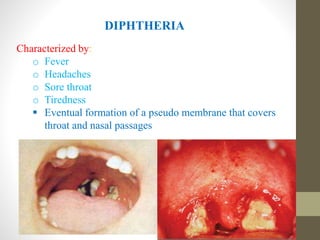 Respiratory disease | PPT