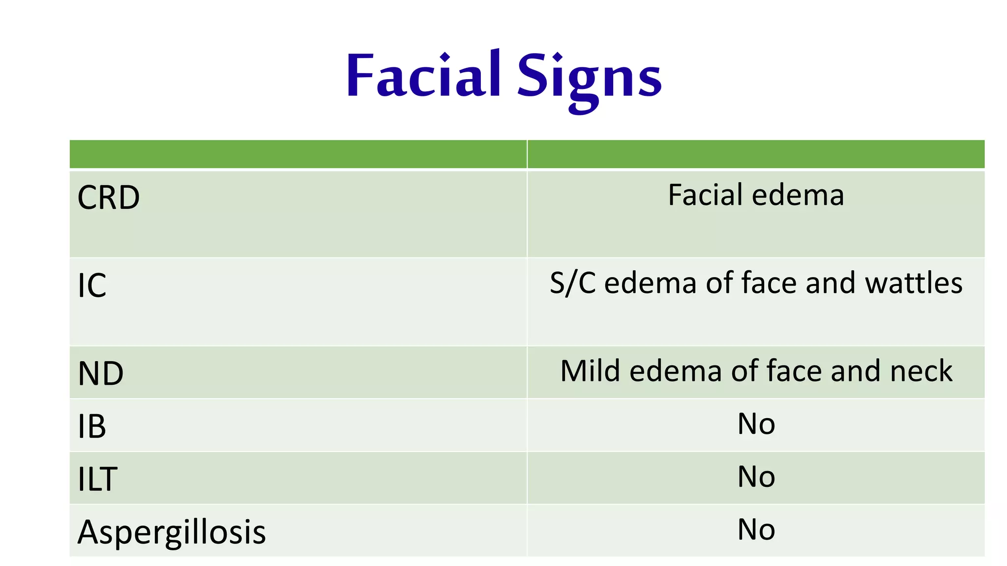 Respiratory diseases of chicken (updated) | PPSX