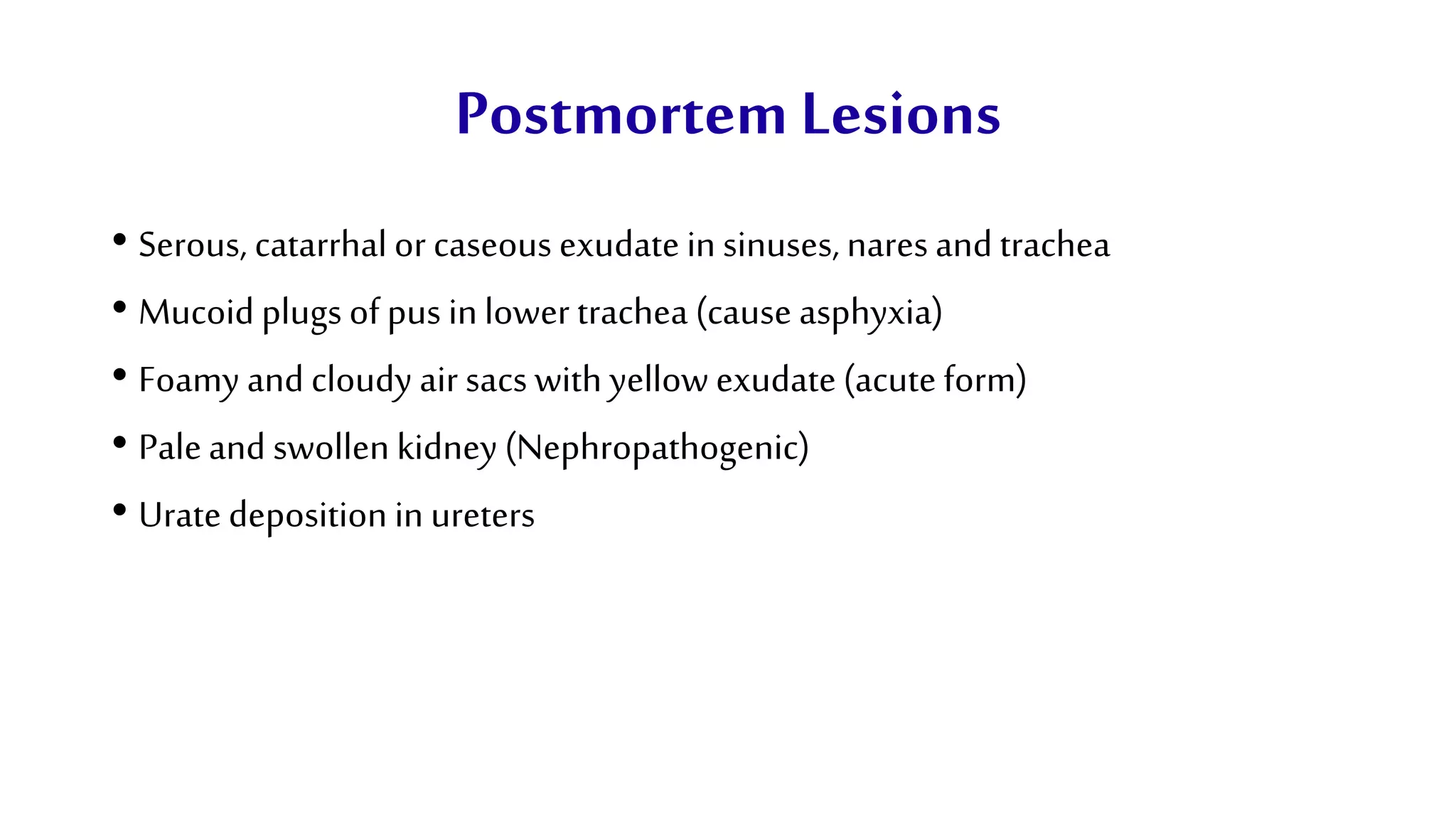 Respiratory diseases of chicken (updated) | PPSX