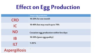 Respiratory diseases of chicken (updated) | PPSX