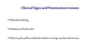 Respiratory diseases of chicken (updated) | PPSX