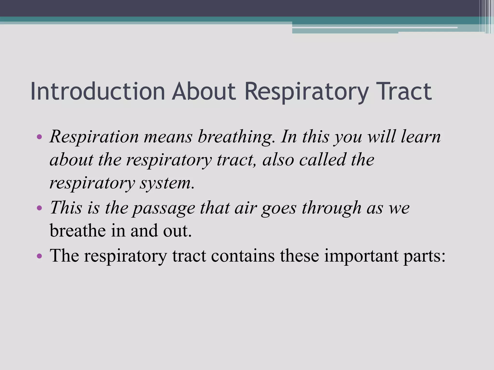 Respiratory diseases | PPTX