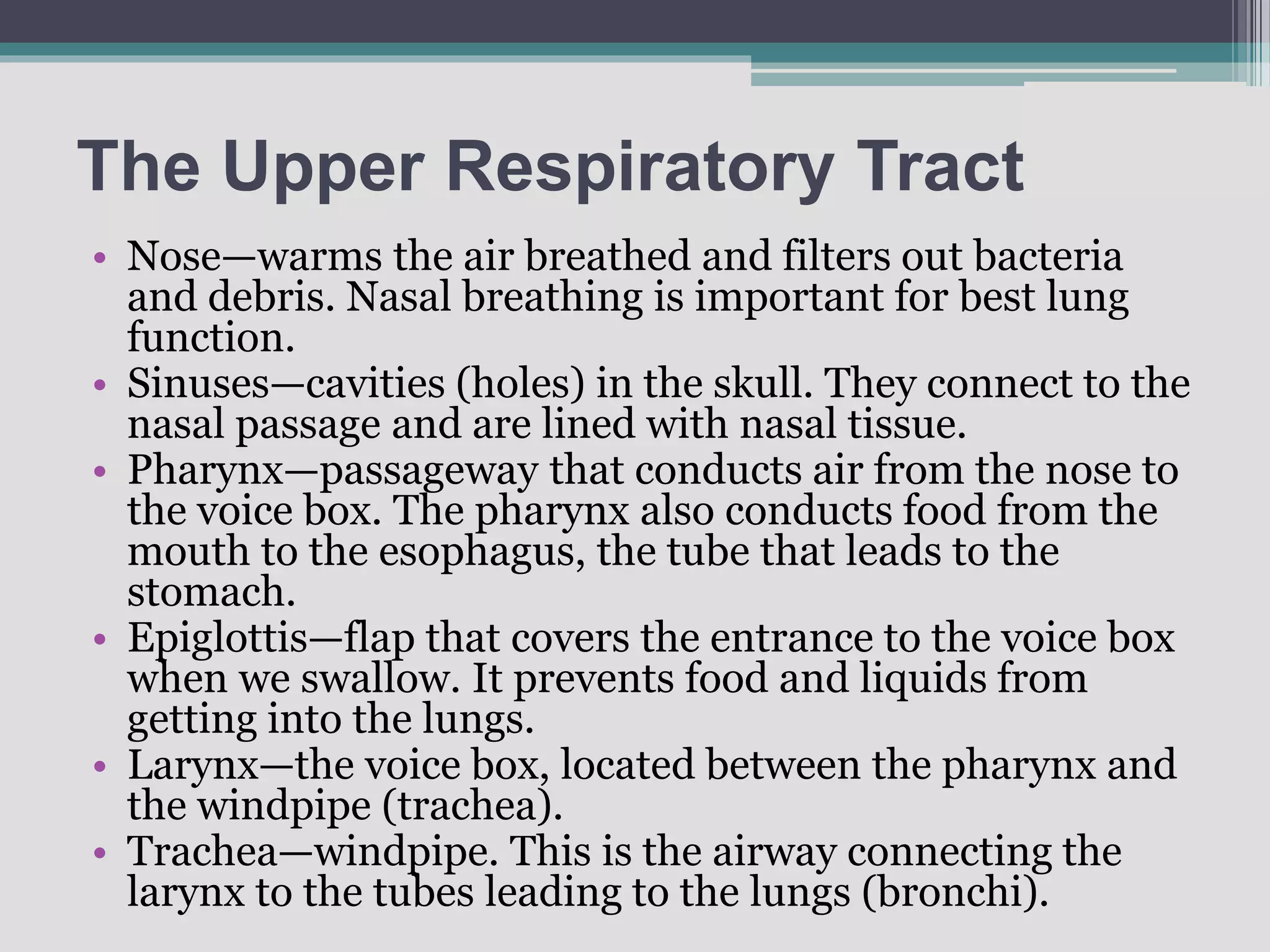 Respiratory diseases | PPTX