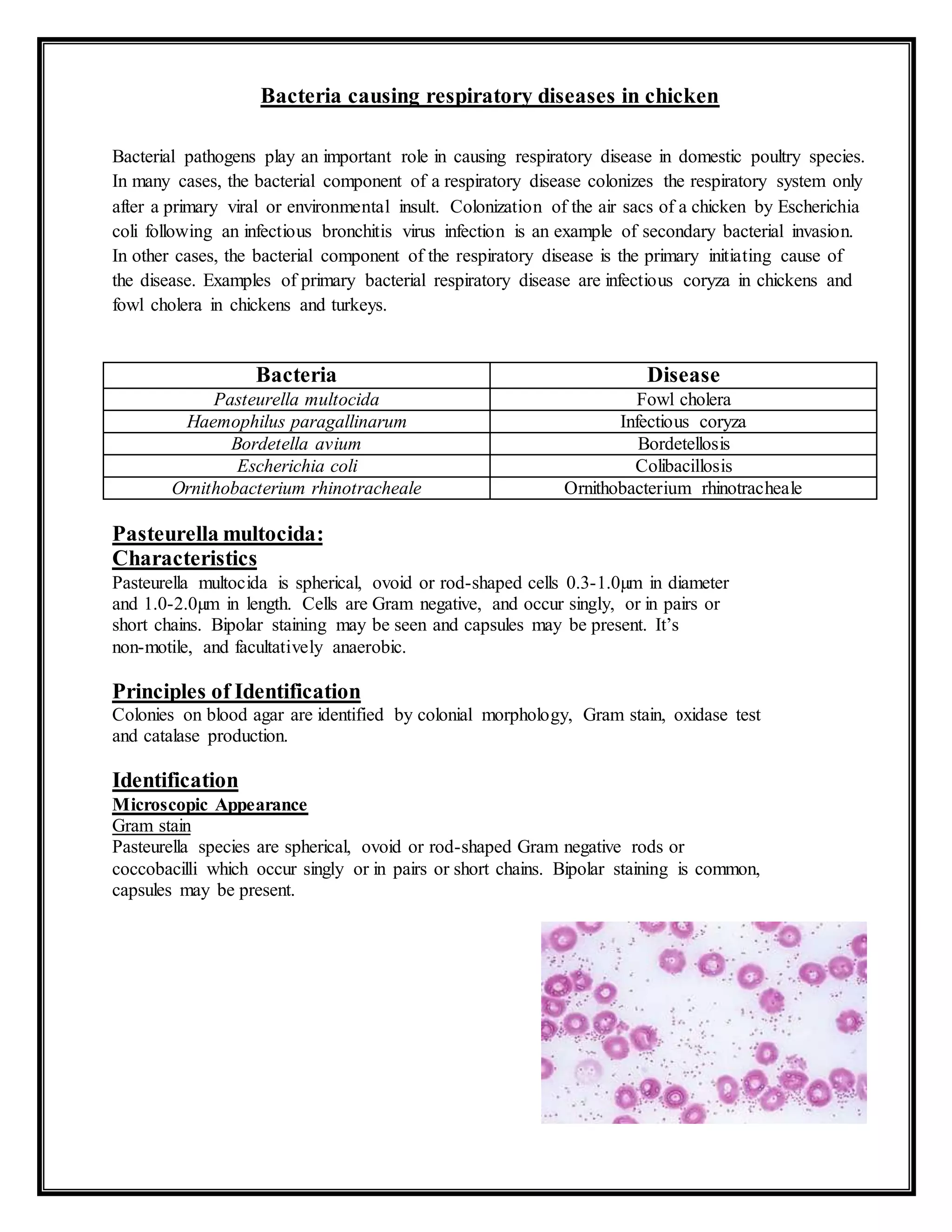 Laboratory diagnosis of bacteria causing respiratory diseases in ...