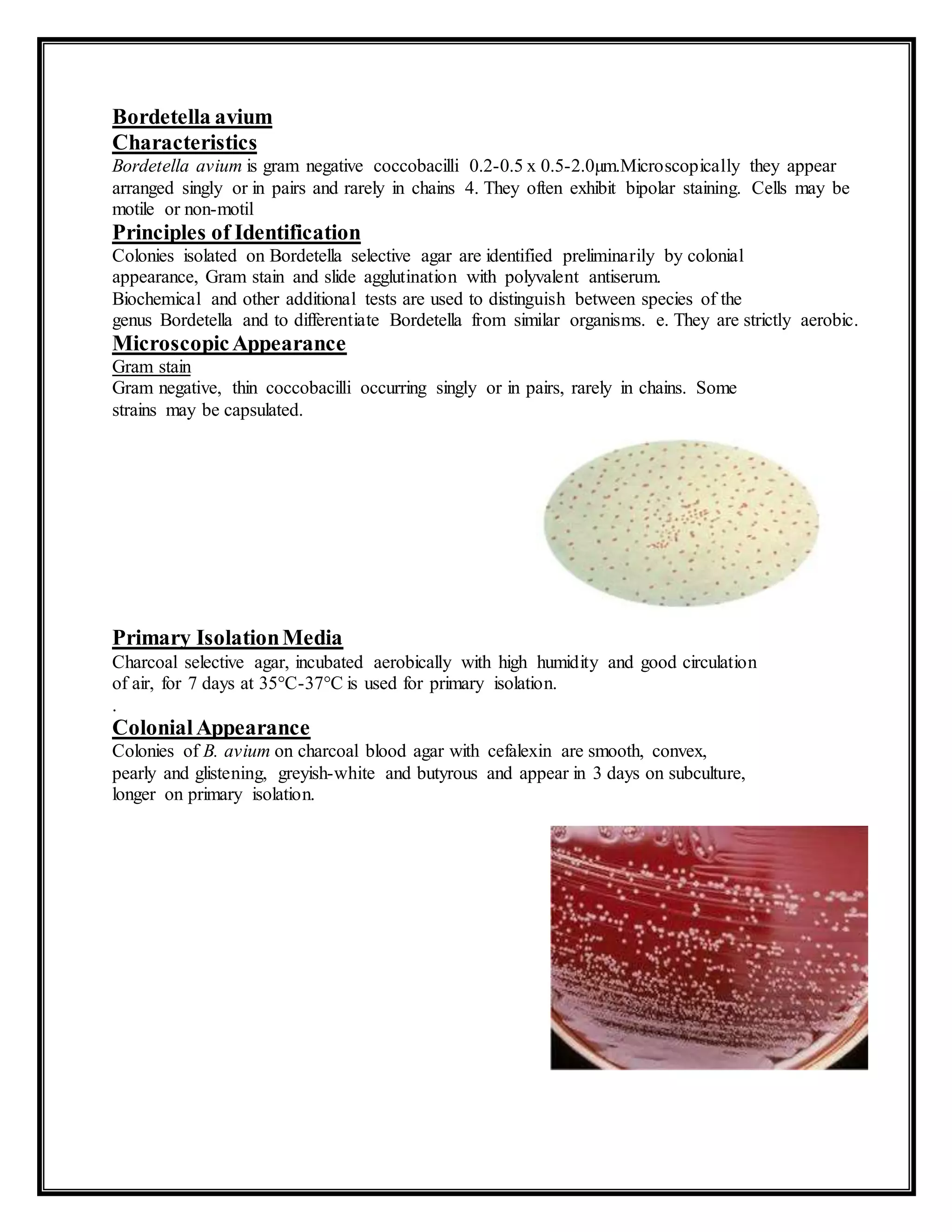 Laboratory diagnosis of bacteria causing respiratory diseases in ...