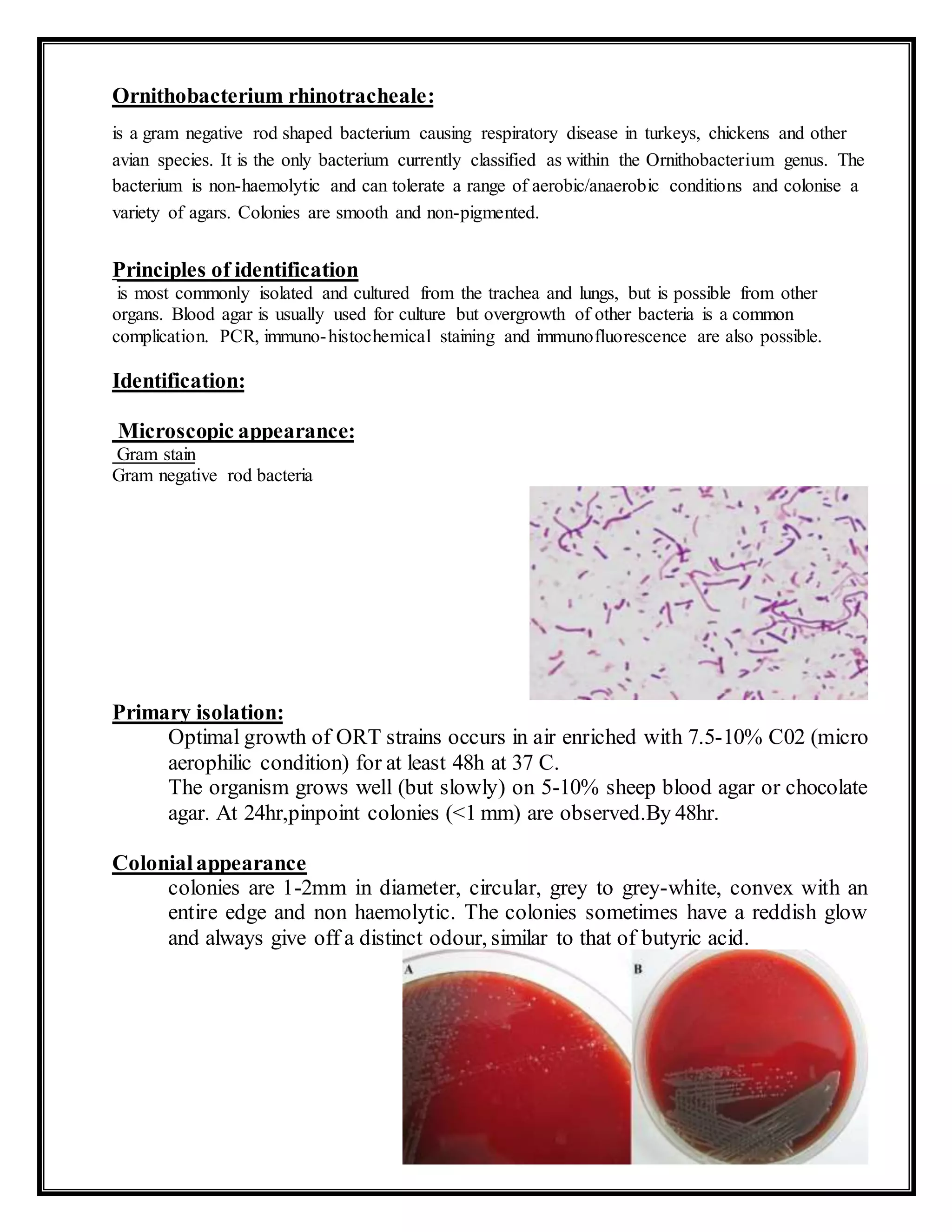 Laboratory diagnosis of bacteria causing respiratory diseases in ...