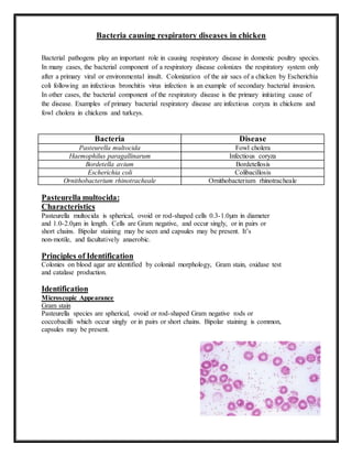 Laboratory diagnosis of bacteria causing respiratory diseases in ...
