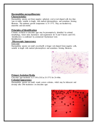 Laboratory diagnosis of bacteria causing respiratory diseases in ...