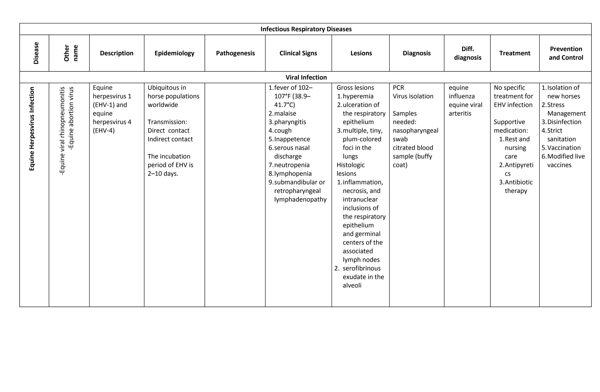 Respiratory diseases of equine | DOCX