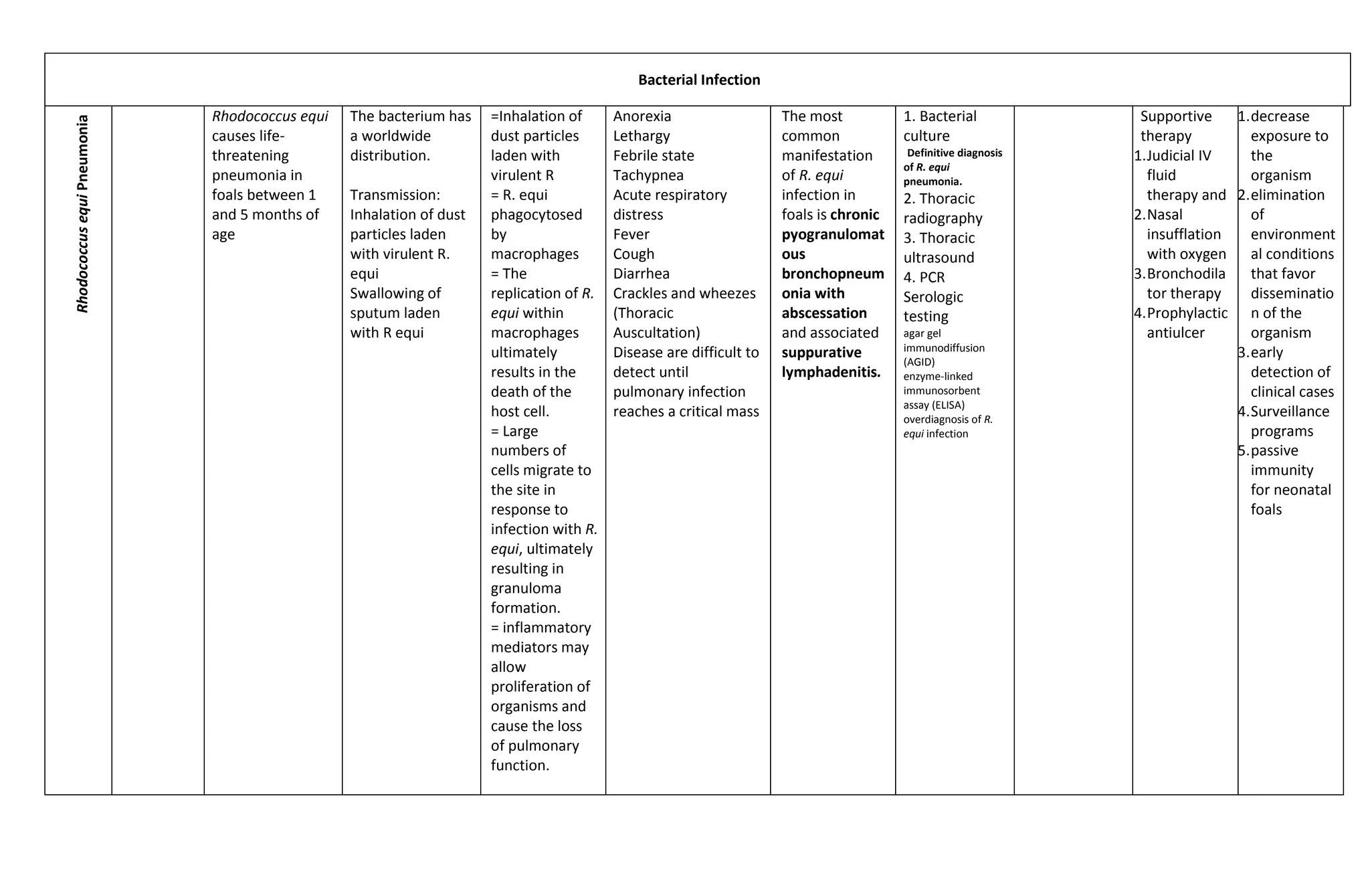 Respiratory diseases of equine | DOCX