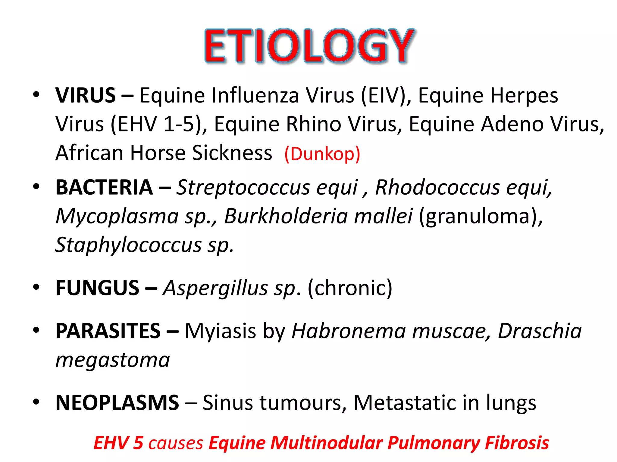 Respiratory diseases of horses | PPTX