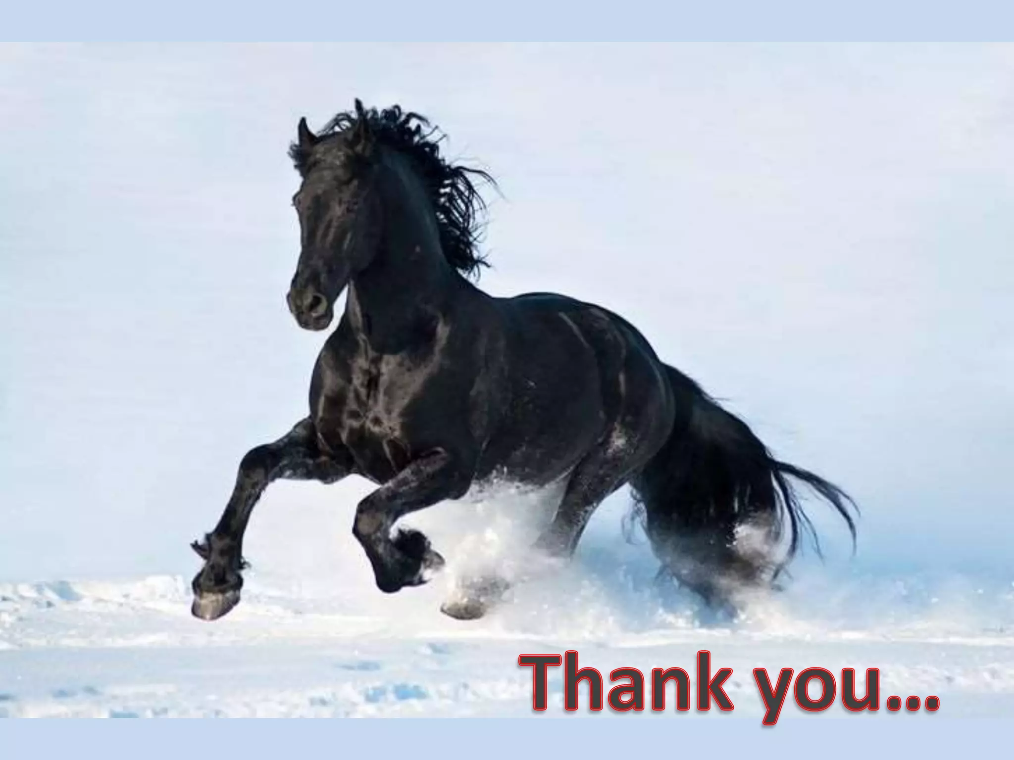 Respiratory diseases of horses | PPTX