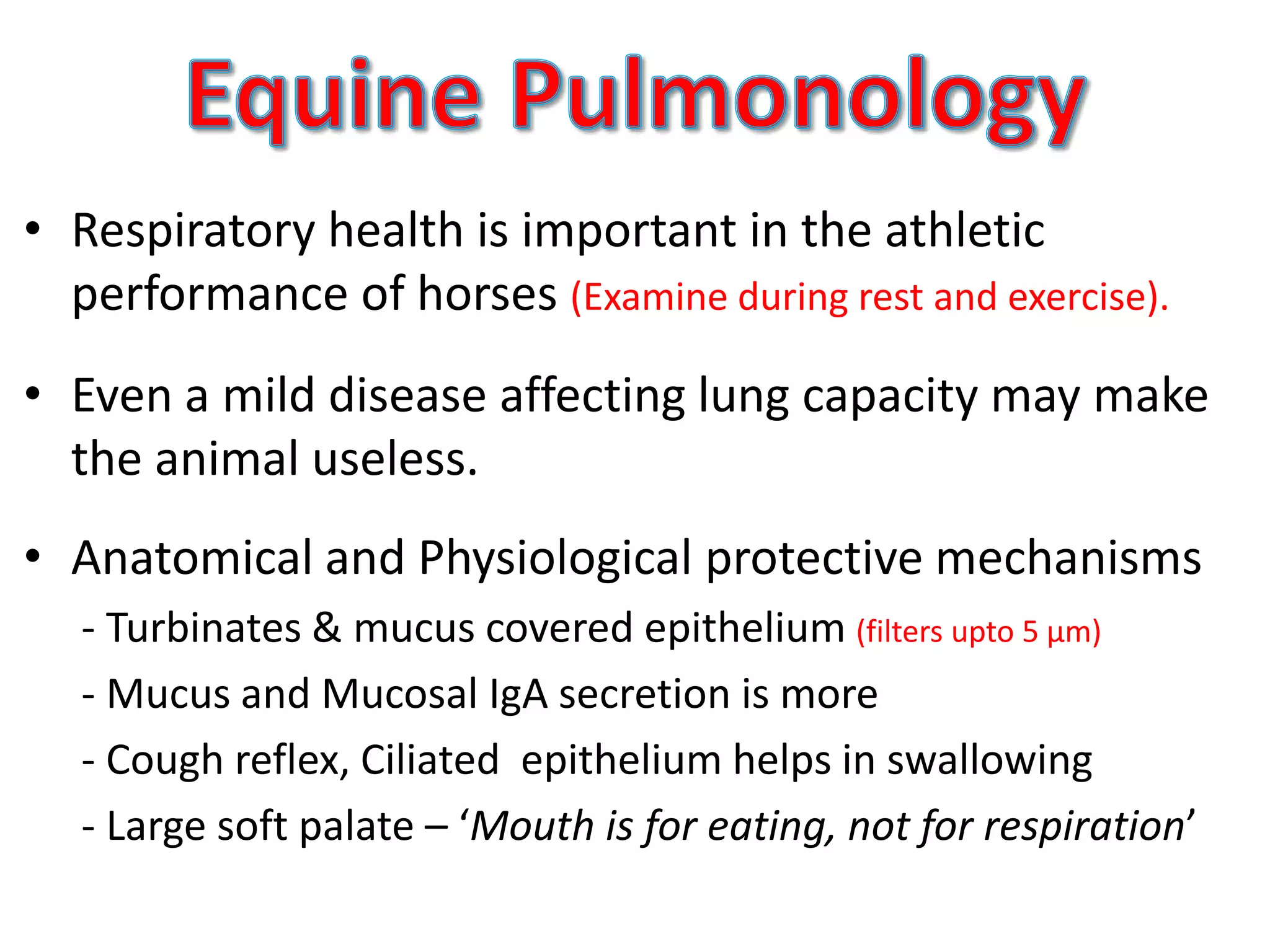 Respiratory diseases of horses | PPTX