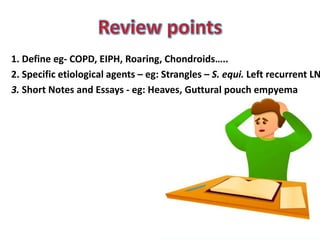 Respiratory diseases of horses | PPTX