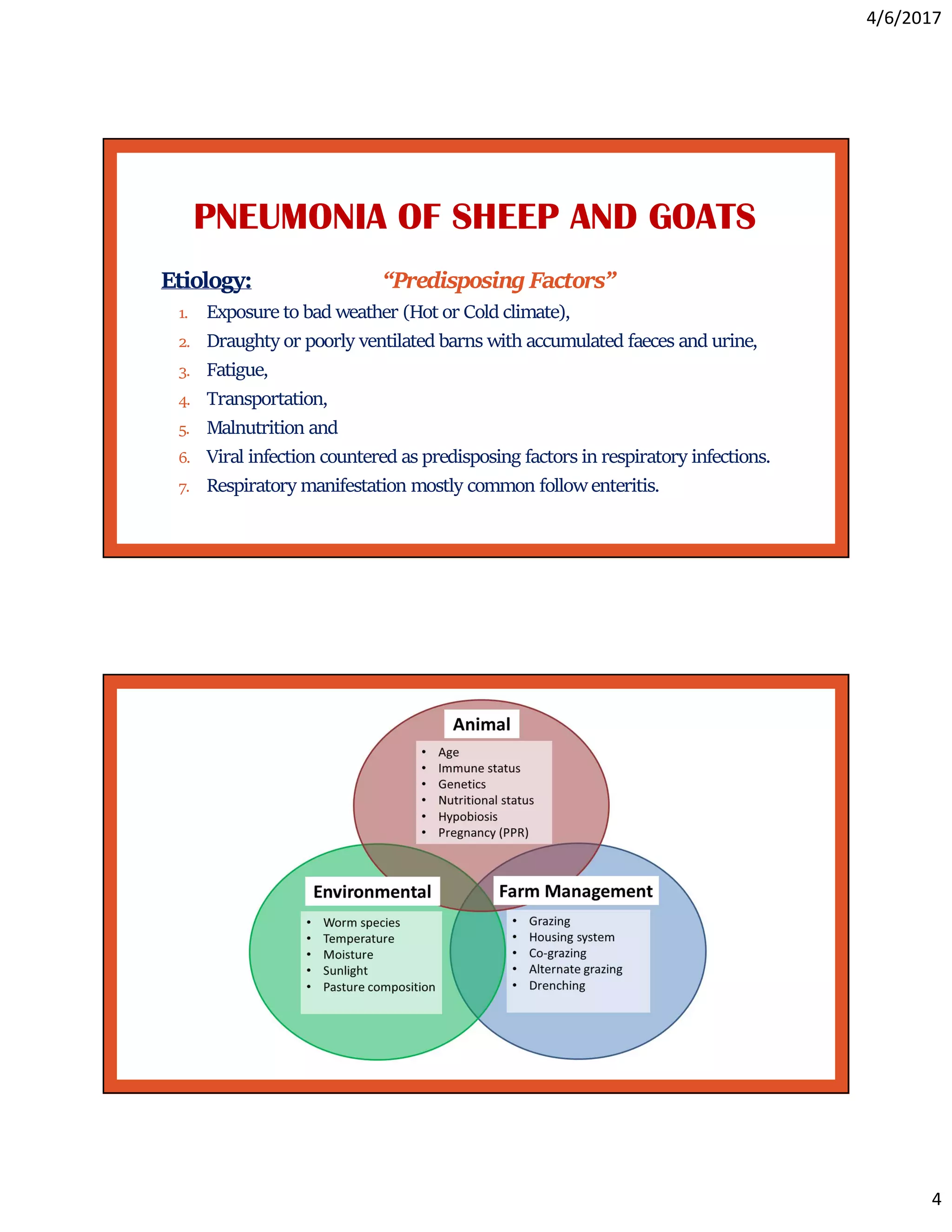 Respiratory diseases of sheep and goats | PDF