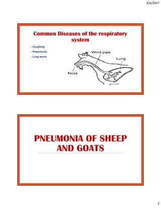 Respiratory diseases of sheep and goats | PDF | Infectious Diseases ...