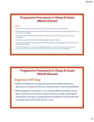 Respiratory diseases of sheep and goats | PDF