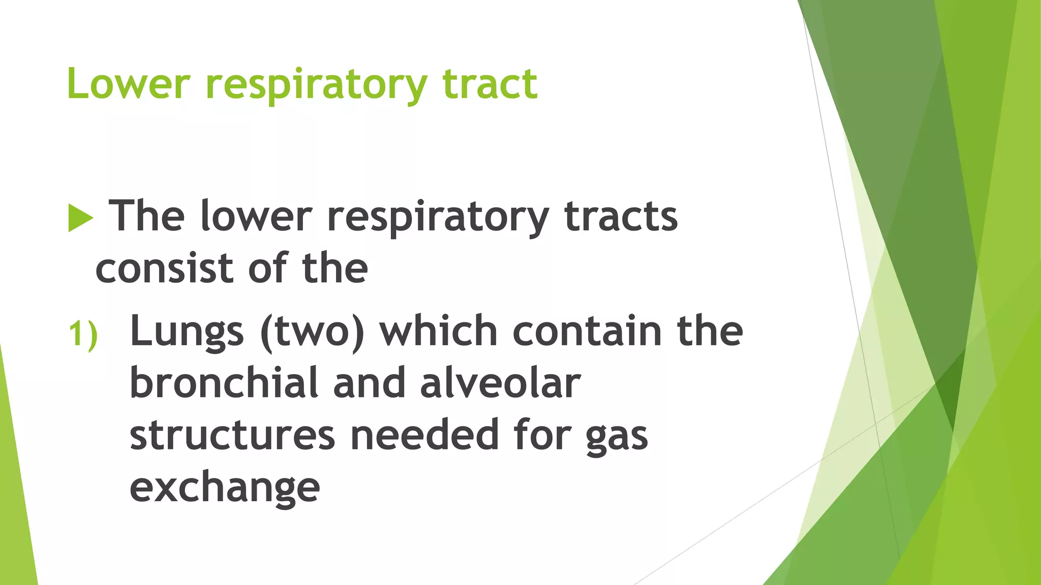 Upper respiratory disorders and nursing mangement | PPTX