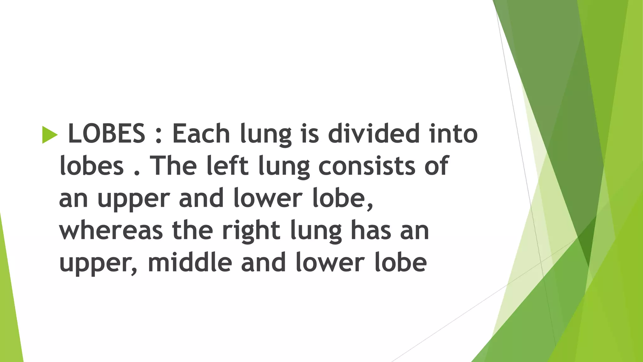 Upper respiratory disorders and nursing mangement | PPTX