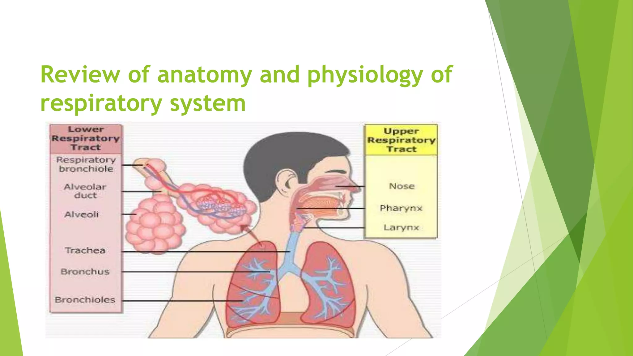 Upper respiratory disorders and nursing mangement | PPTX