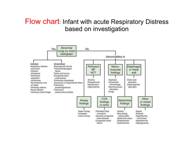 An approach to respiratory distrss and management | PPT