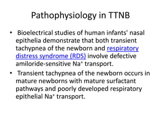 RESPIRATORY DISTRESS IN NEONATES.pptx