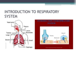 Respiratory distress in newborn | PPTX