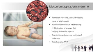 RESPIRATORY DISTRESS IN NEWBORN final.pptx