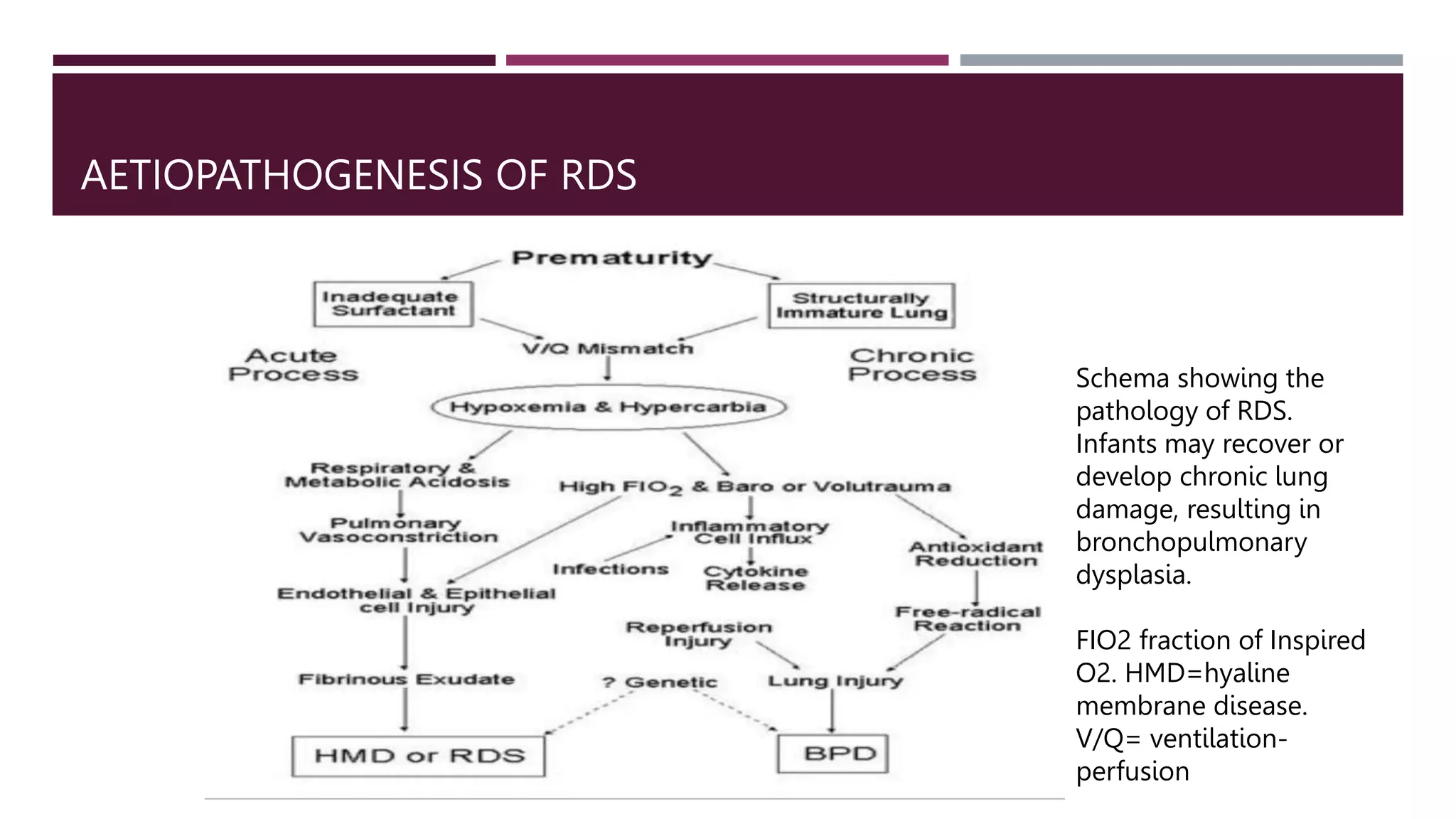 Respiratory Distress Syndrome by DR FAITHFUL DANIEL.pptx