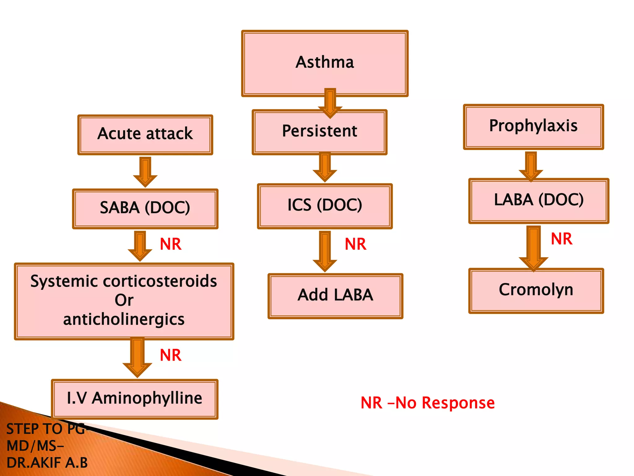 Respiratory drugs | PPTX