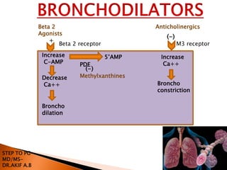 Respiratory drugs | PPTX