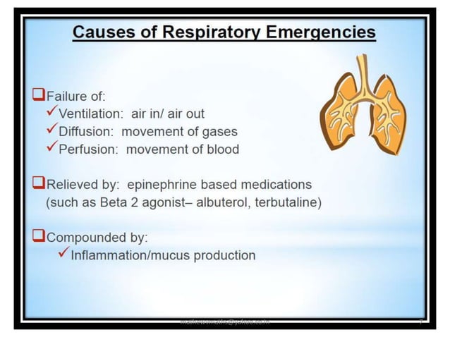 Respiratory emergencies | PPTX | Lung and Respiratory Health | Diseases ...