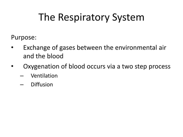 Basics of Respiratory Emergencies for ED Nurses! | PPTX