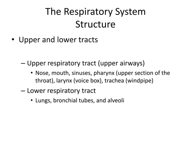 Basics of Respiratory Emergencies for ED Nurses! | PPTX