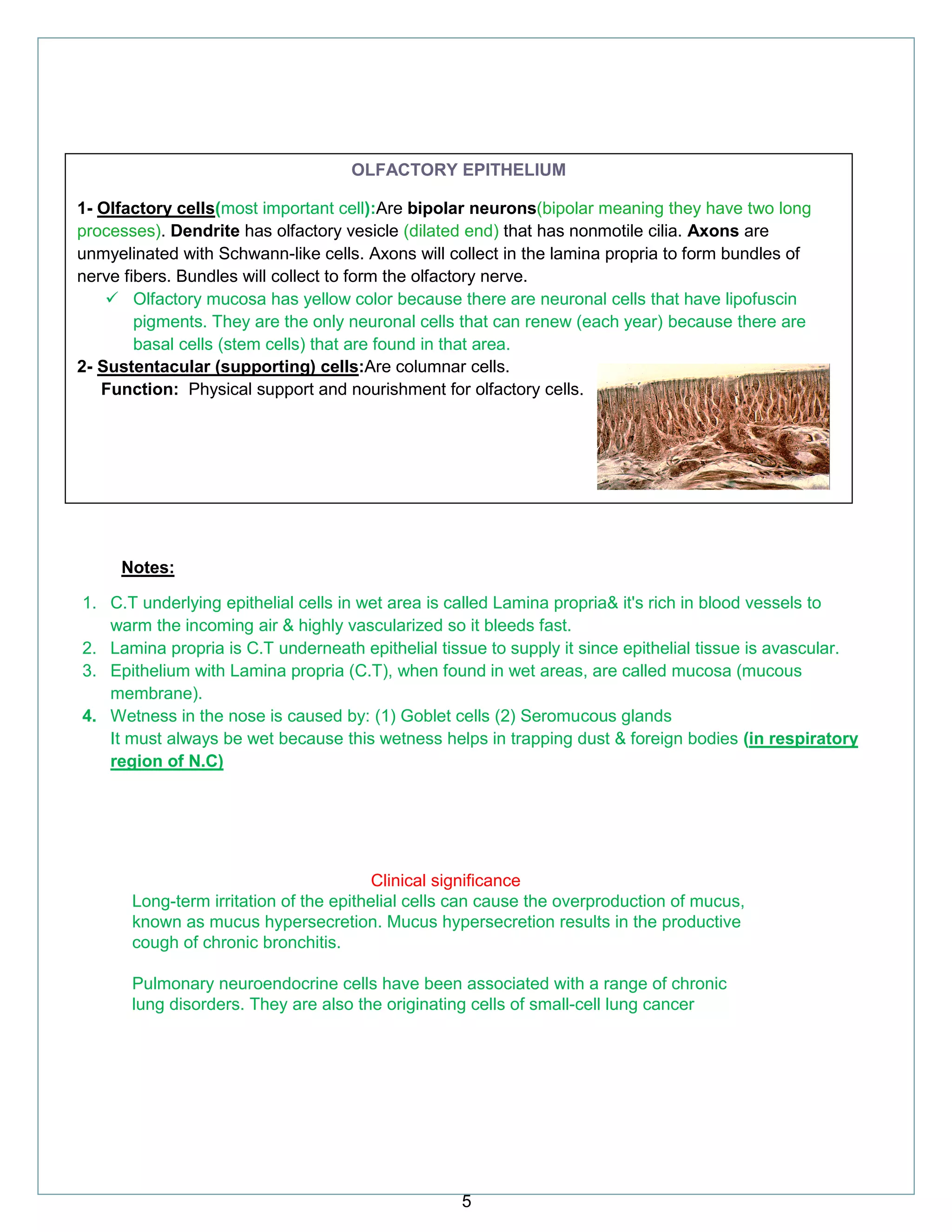 Respiratory epithelium | PDF