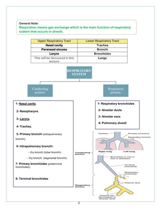 Respiratory epithelium | PDF
