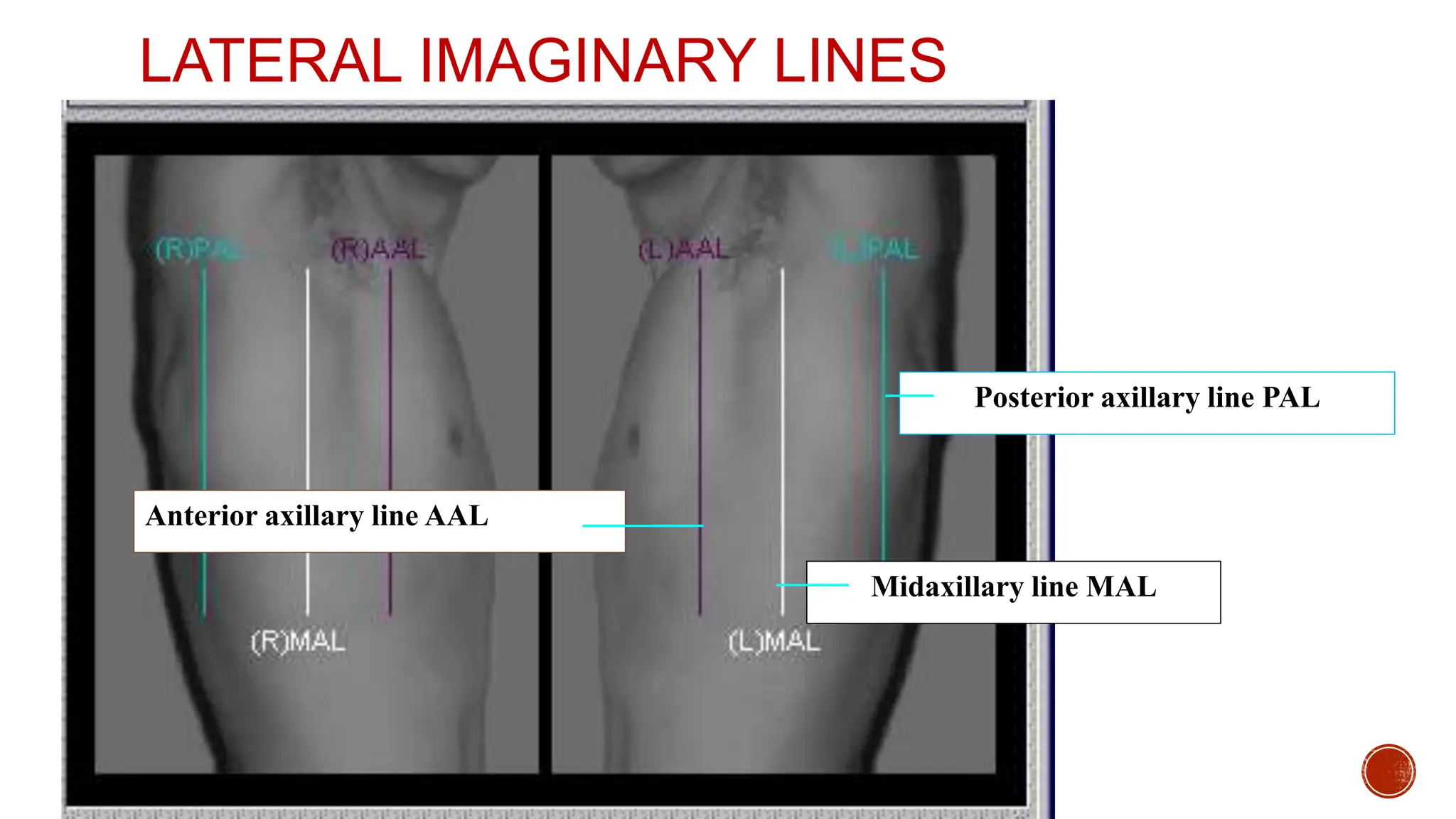 RESPIRATORY EXAMINATION FINAL PPT DR,.pptx