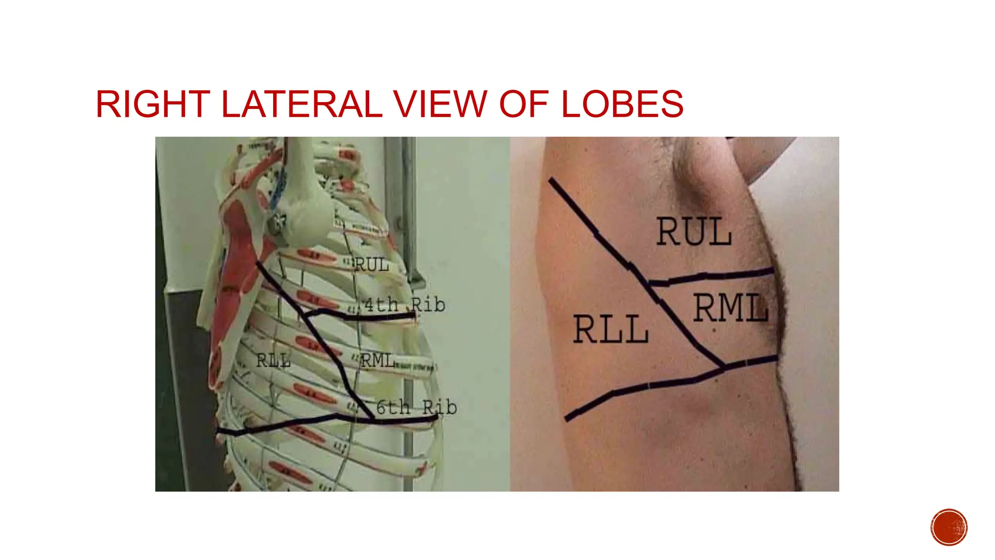 RESPIRATORY EXAMINATION FINAL PPT DR,.pptx