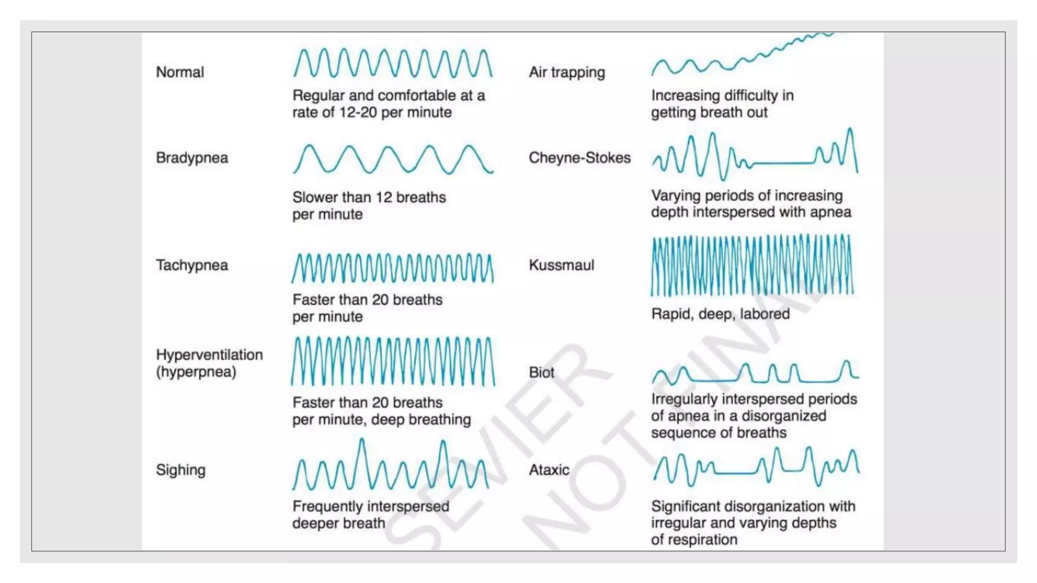 Respiratory examination insp+palp | PPTX