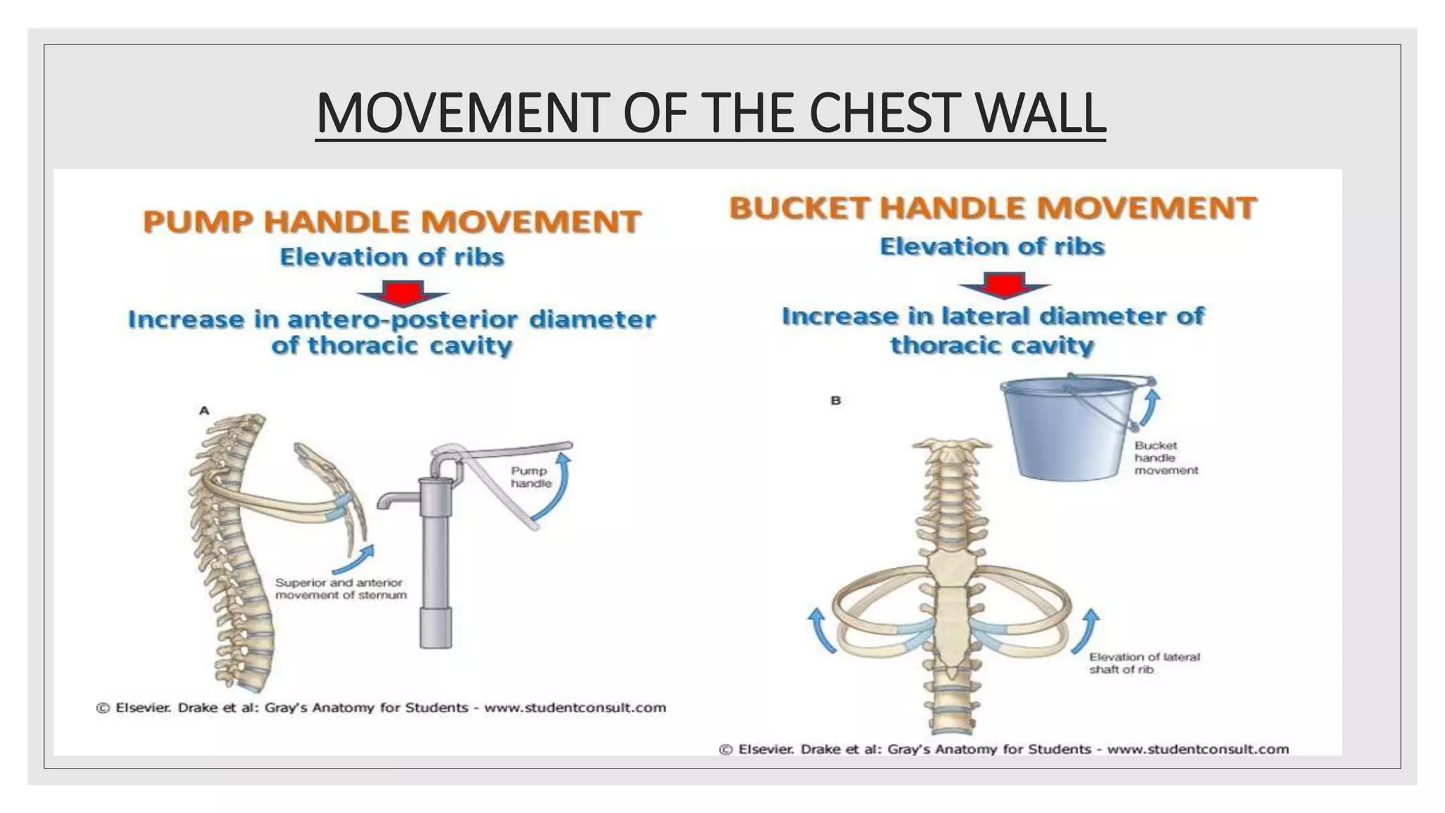 Respiratory examination insp+palp | PPTX