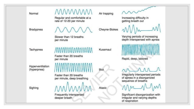 Respiratory examination insp+palp | PPTX