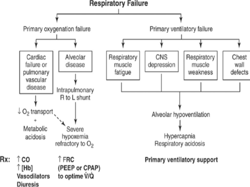Respiratory failure