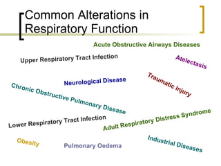 Alterations in respiratory function | PPT